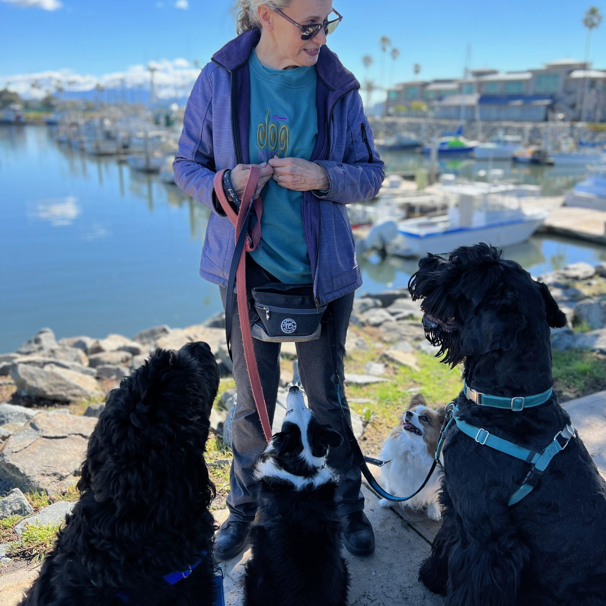 Dog Blog! – Robin Roy